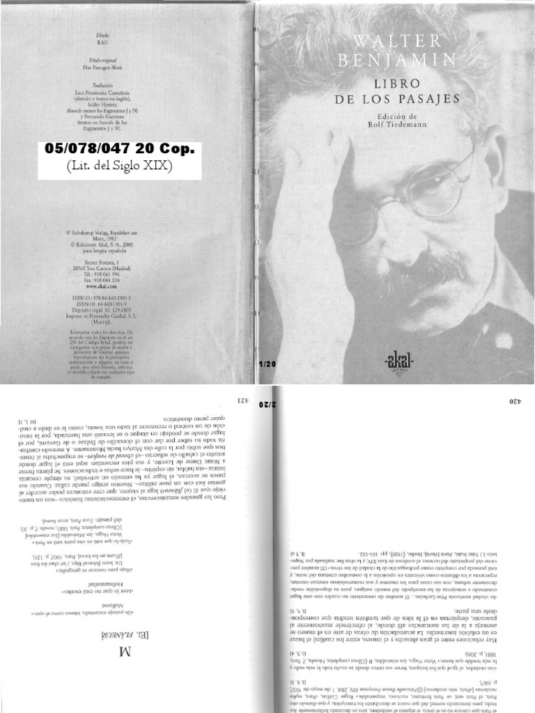 BENJAMIN - El Flâneur PDF | PDF | Naturaleza