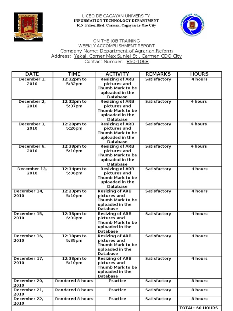 Ojt Report | PDF | Information Technology | Computing