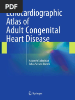 Basic EKG For Dummies | PDF | Electrocardiography | Heart Valve