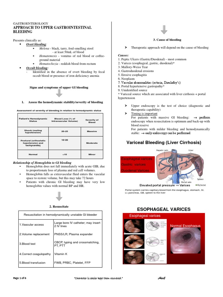 Upper GI Bleeding | PDF | Digestive Diseases | Gastroenterology