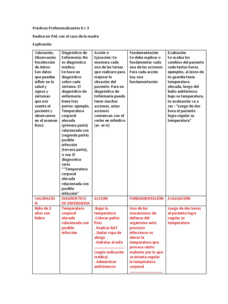 Como Hacer Un Pae | PDF | Rtt | Cuidado de la salud
