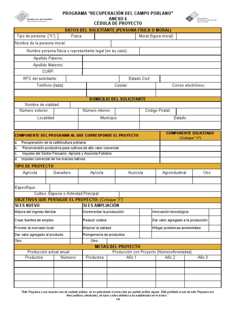 Anexo 4 - Cedula de Proyecto | PDF | Economias | Business