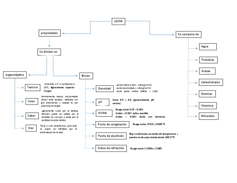 Mapa Conceptual Actividad 1 - Derivados de Lacteos | PDF | Leche | Alimentos