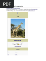 Historia de Las Jirafas | PDF | Evolución