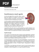 Cápsula de Glisson | PDF | Tejido adiposo | Riñón