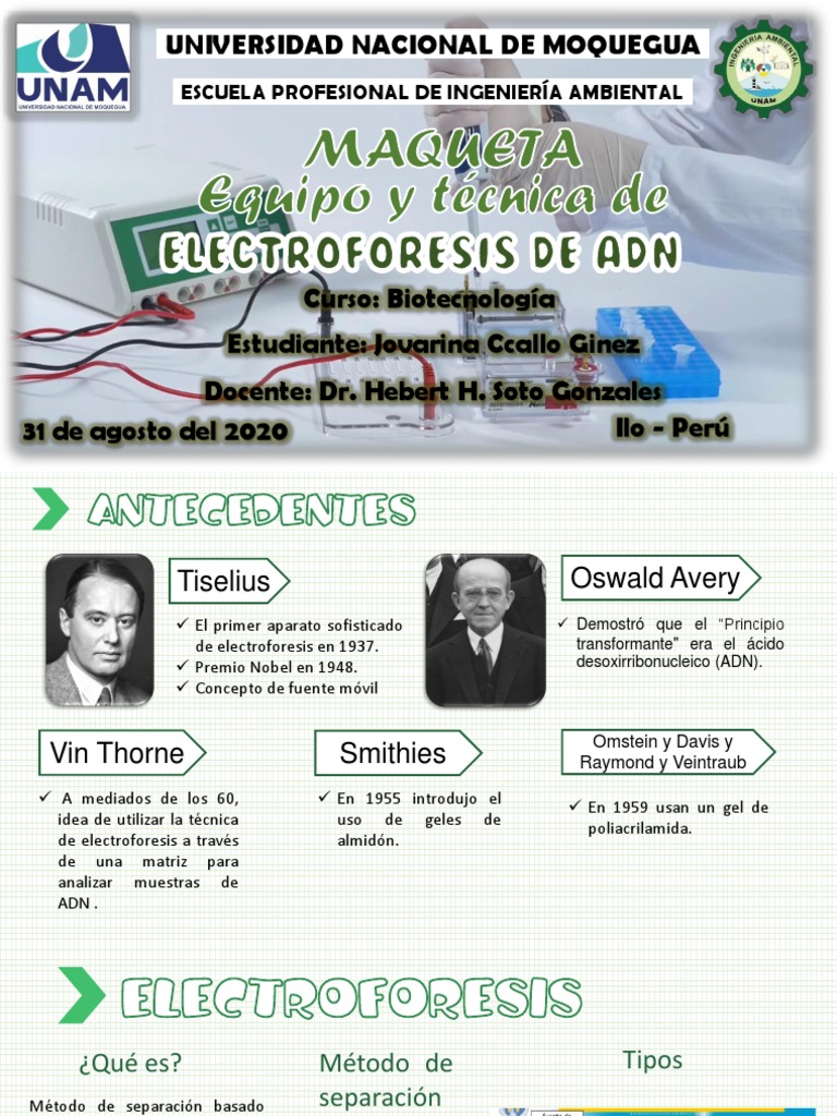 Equipo y Tecnica Del Electroforesis de Adn | PDF | Electroforesis | Biología Molecular