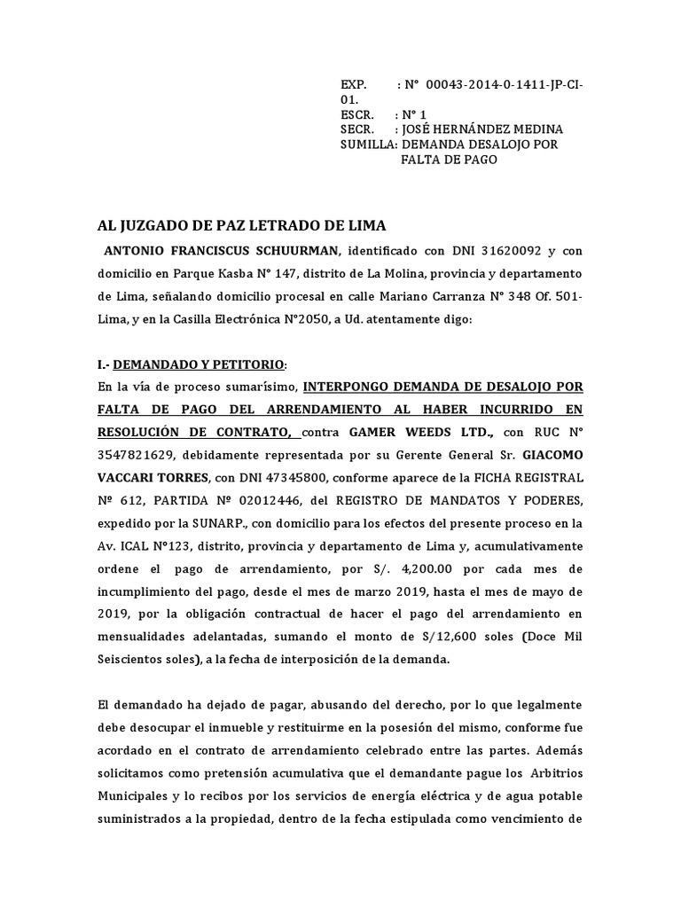 Ejemplo de Demanda | PDF | Ley procesal | Demanda judicial