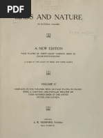 Fall Nature Walk Worksheet | PDF | Organisms | Nature