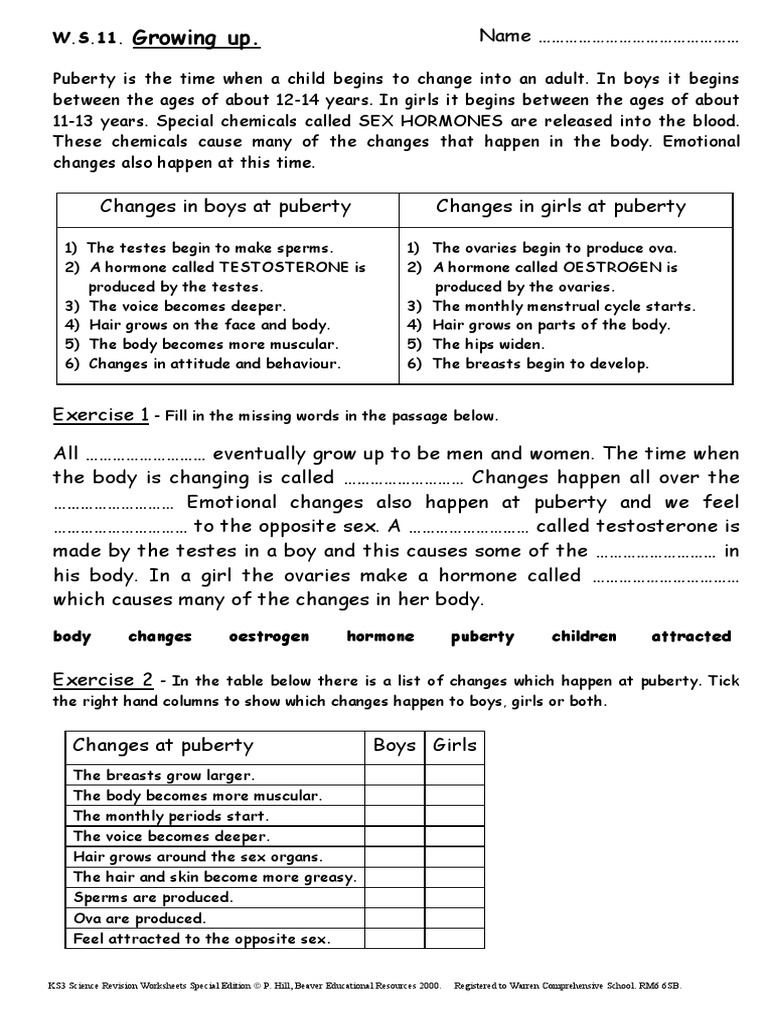 Worksheet About Reproduction - Revision | PDF | Reproductive System ...