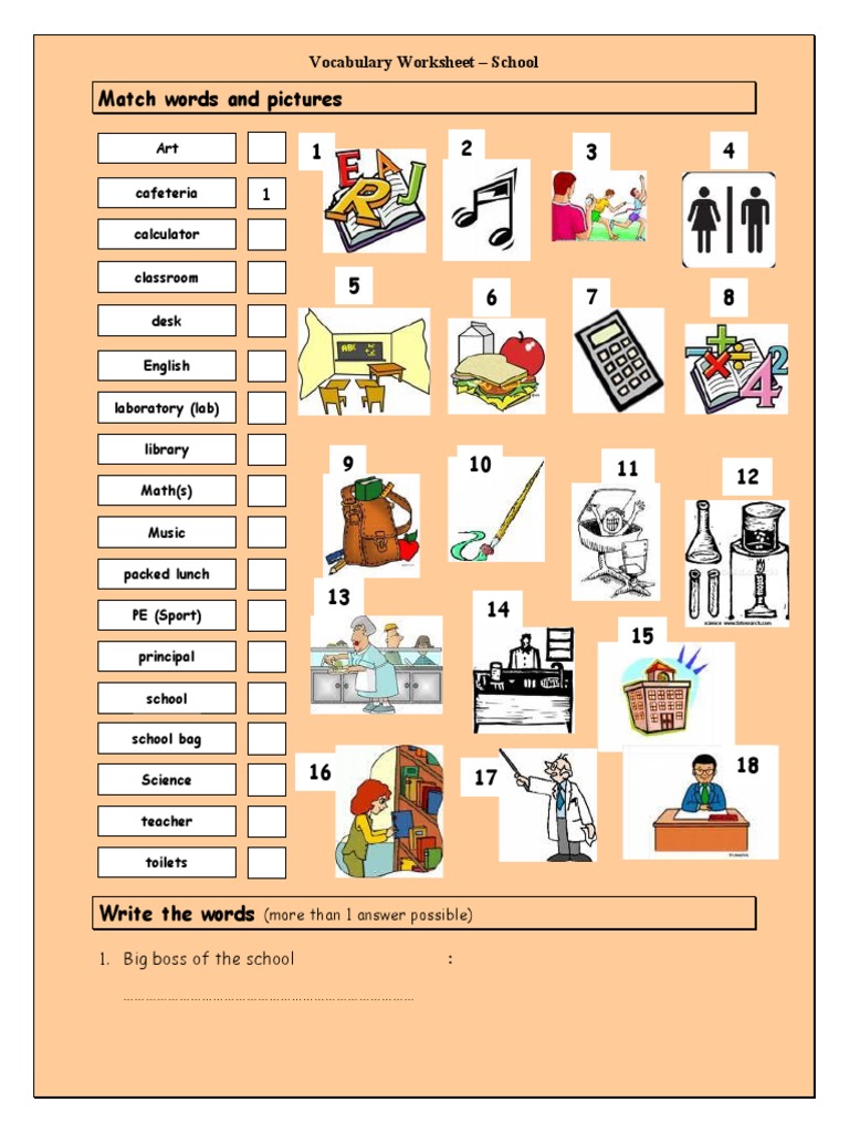 Match Words and Pictures 1 3 2 4: Vocabulary Worksheet - School | PDF