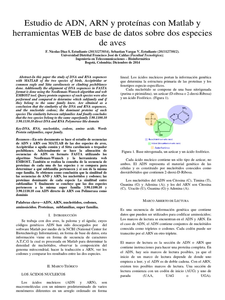 Estudio de ADN, ARN y proteínas con Matlab y herramientas WEB de base ...