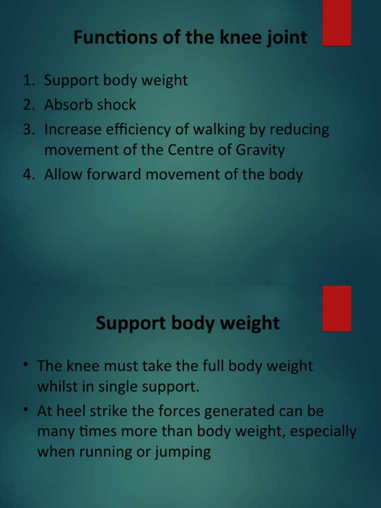 Functions of The Knee Joint | PDF | Knee | Musculoskeletal System