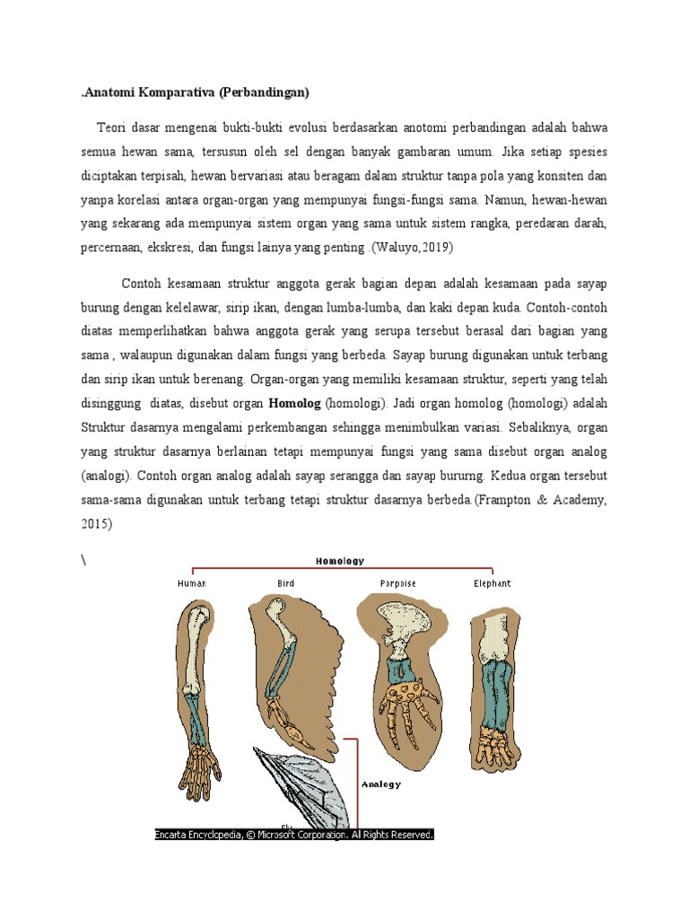 Pembahasan Anatomi Komparativa Dan Embriologi Perbandingan | PDF