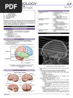 Sutton - Radiology For Students | PDF
