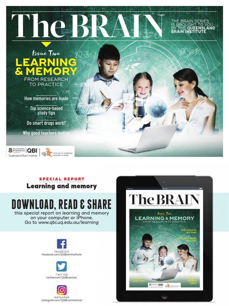 Learning and Memory Insights Report | PDF | Hippocampus | Memory