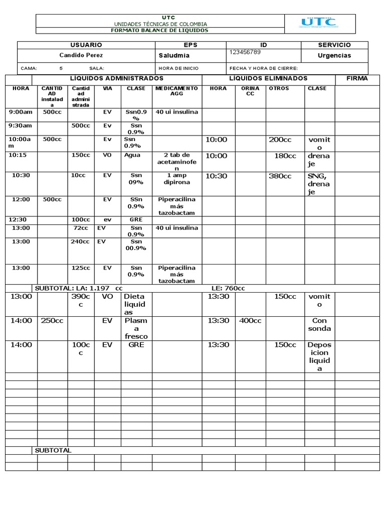 Formato Control de Liquidos | PDF