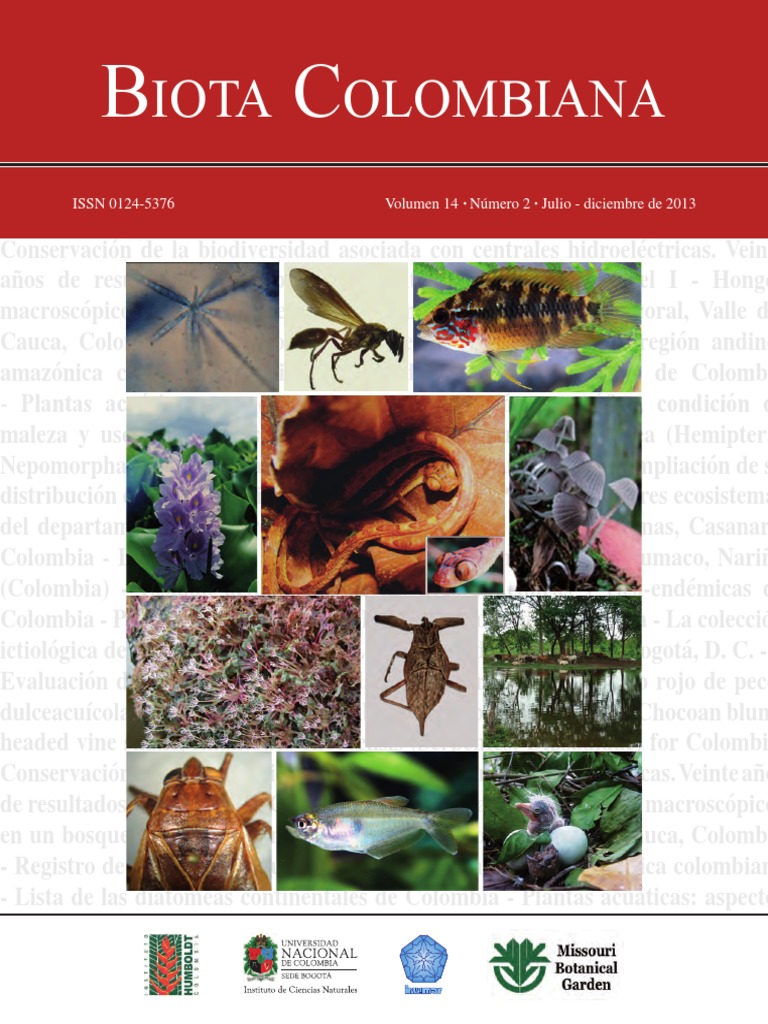 Peces de La Cuenca Del Río Pauto, Orinoquia Colombiana | PDF | Colombia ...