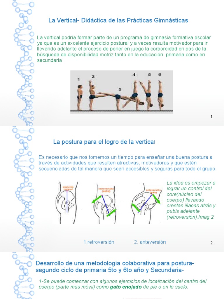 Vertical Metodologia | PDF | Pie | Aprendizaje