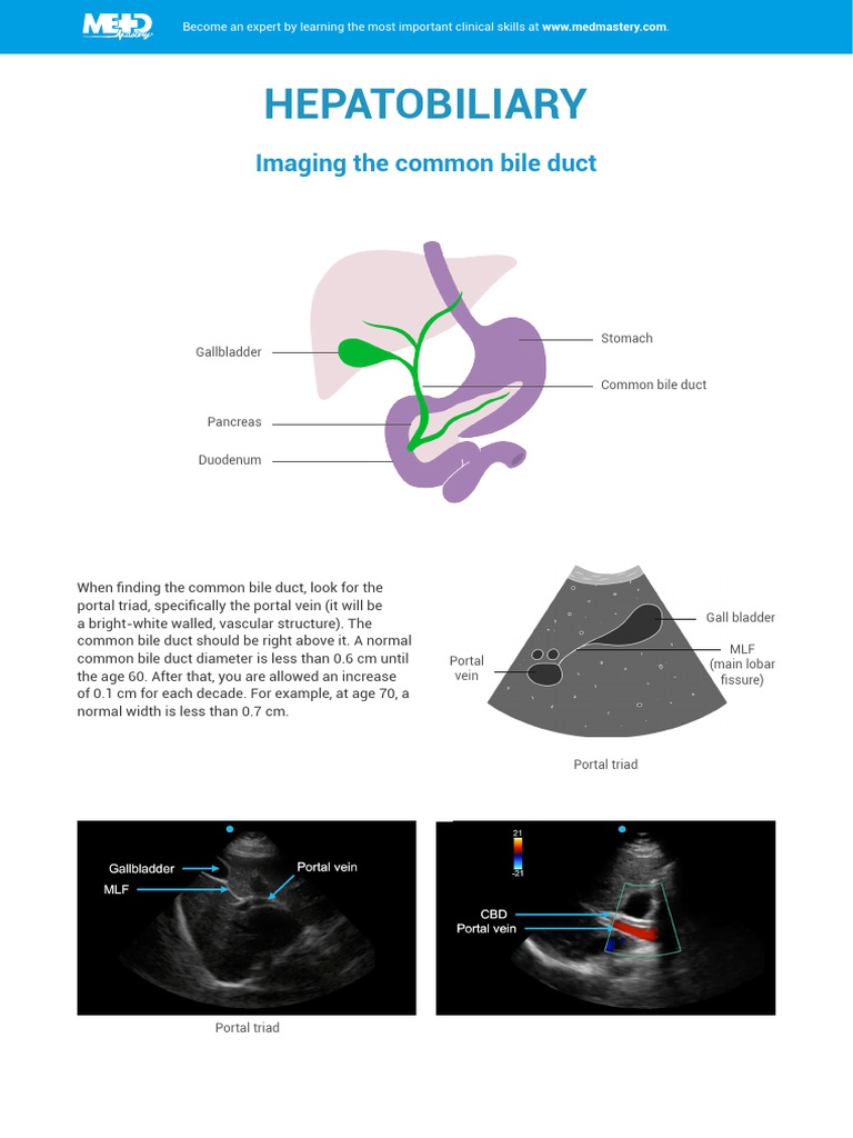 04. Imaging the common bile duct
