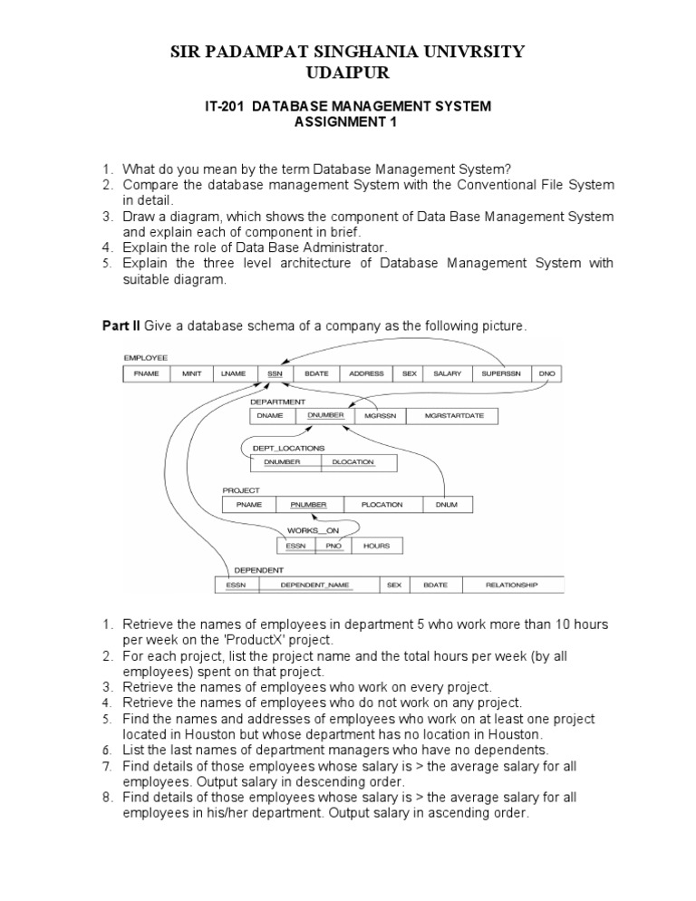 Database Management System Assignment Guide | PDF