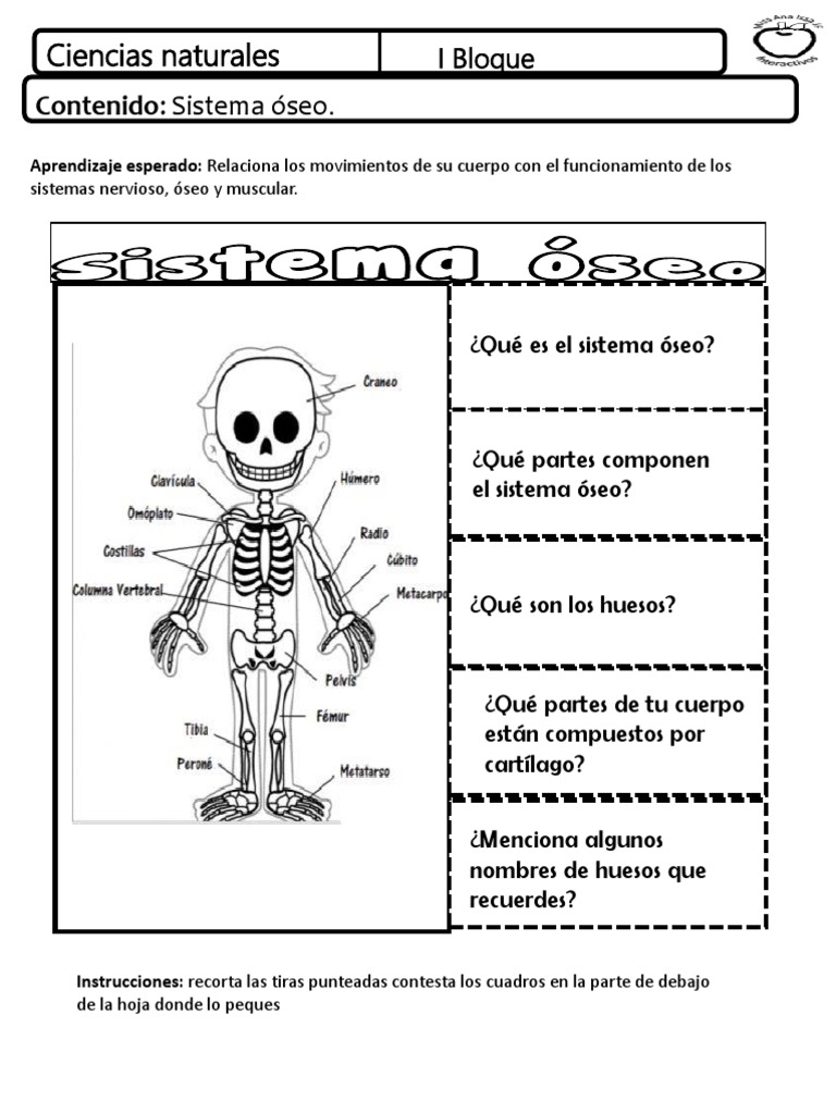 Tema 1. - Sistema Oseo | PDF