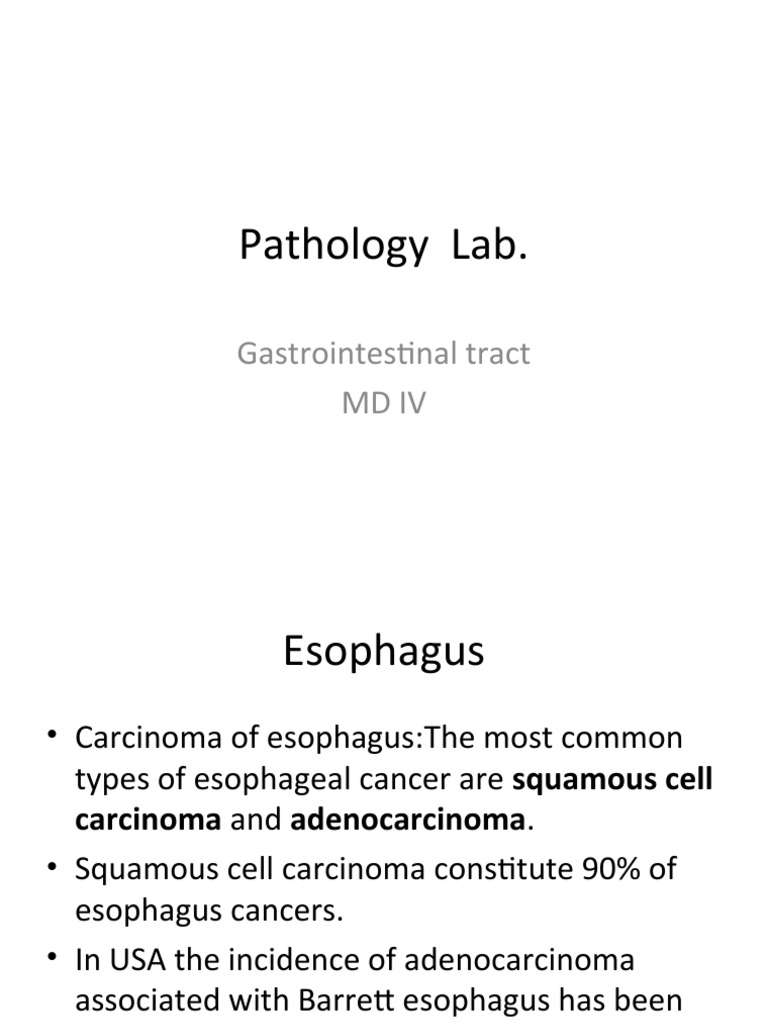 Pathology Lab.: Gastrointestinal Tract MD Iv | PDF | Adenocarcinoma ...