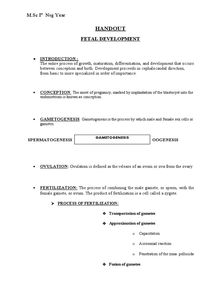 Handout: M.SC I NSG Year | PDF | Fertilisation | Implantation (Human ...