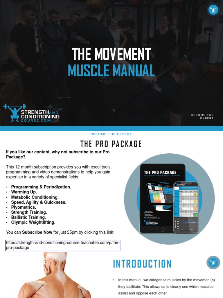Muscle Manual | PDF | Human Leg | Anatomical Terms Of Motion