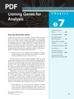 pET-28 A (+) - Addgene Vector Database (Plasmids, Expression Vectors ...