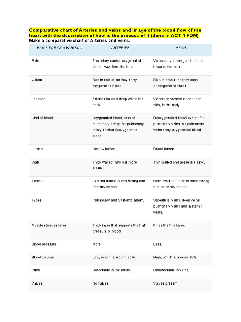 Arteries vs. Veins: Key Differences Chart | PDF | Artery | Vein