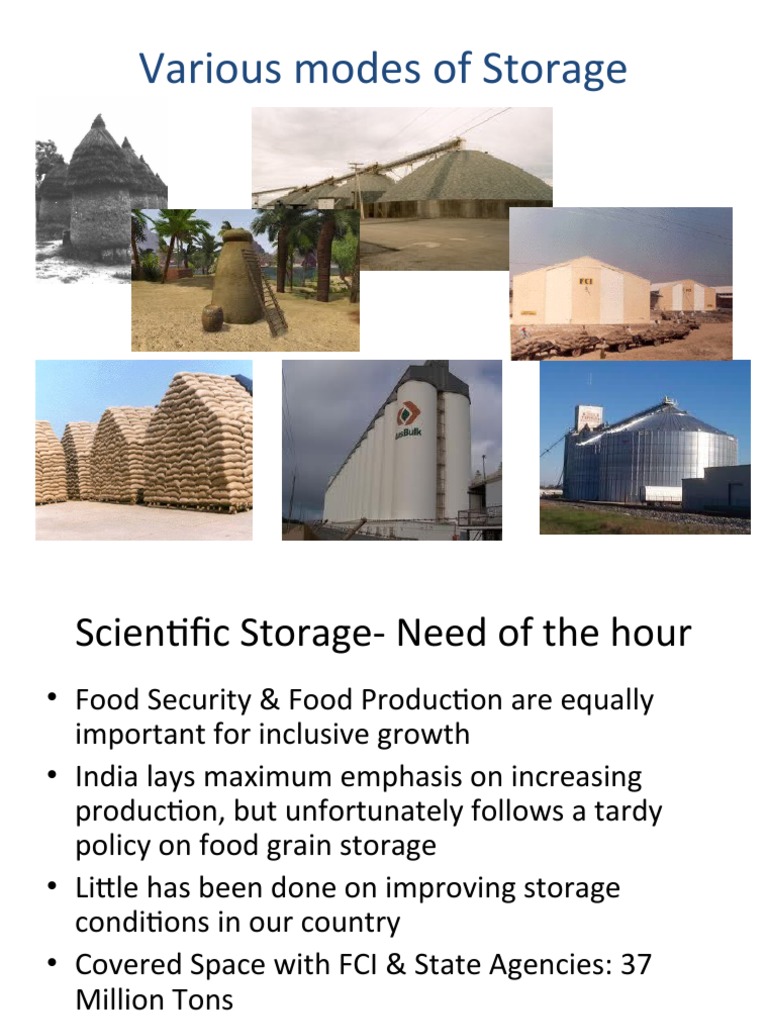 Scientific Grain Storage | PDF | Transport | Food Security