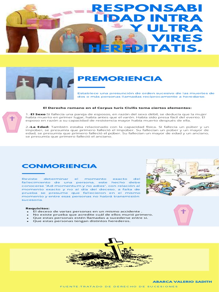 Infografia Responsabilidad Intra y Ultra Vires | PDF