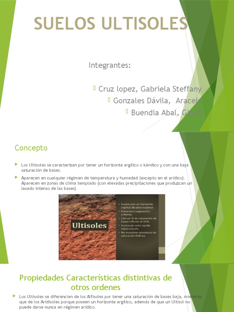 Ultisoles | PDF | Suelo | Los bosques