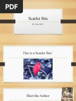 Three Skeleton Key Story | PDF | Ships | Water Transport