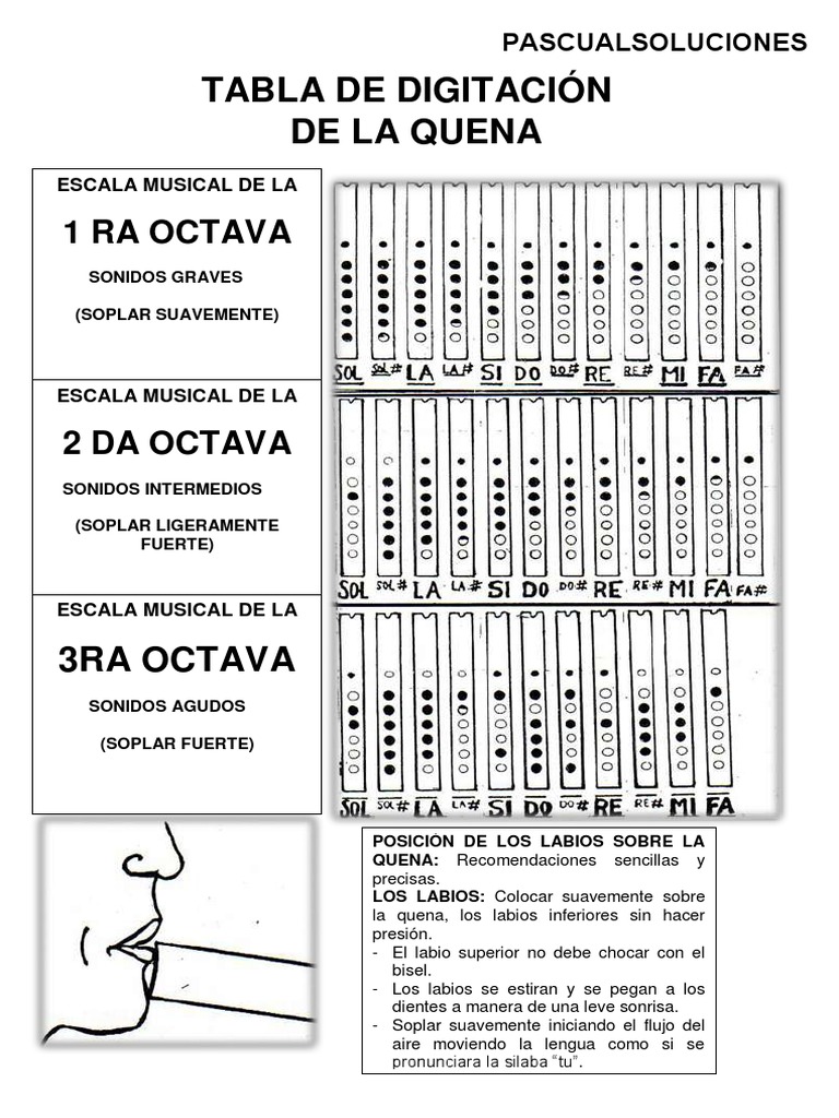 Didactica de La Quena | PDF