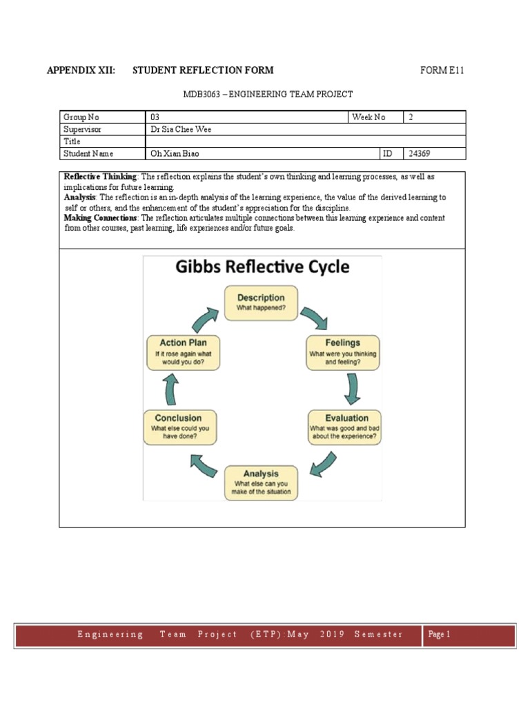 STUDENT REFLECTION FORM - Individual (Weekly) | PDF | Learning | Psychology