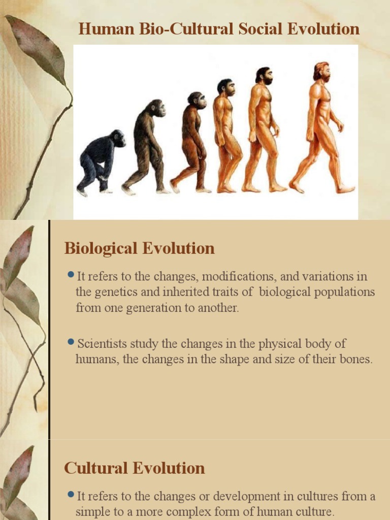 Human Bio-Cultural Social Evolution | PDF | Natural Selection | Evolution