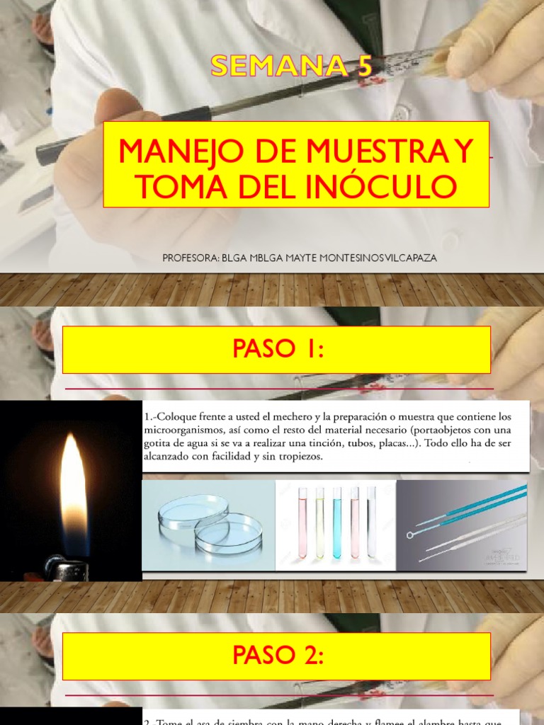 Práctica 5 Manejo de Las Muestras y Toma Del Inóculo | PDF