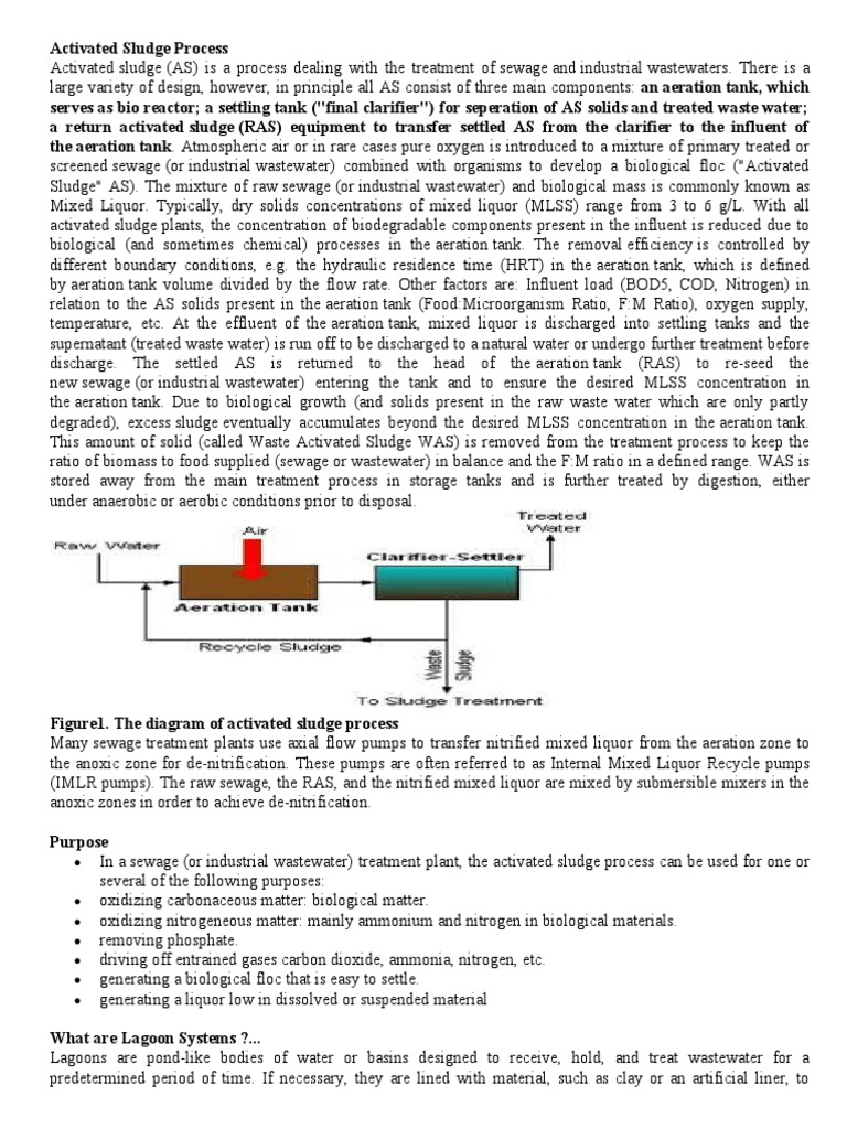 Activated Sludge Process | PDF | Sewage Treatment | Water Management