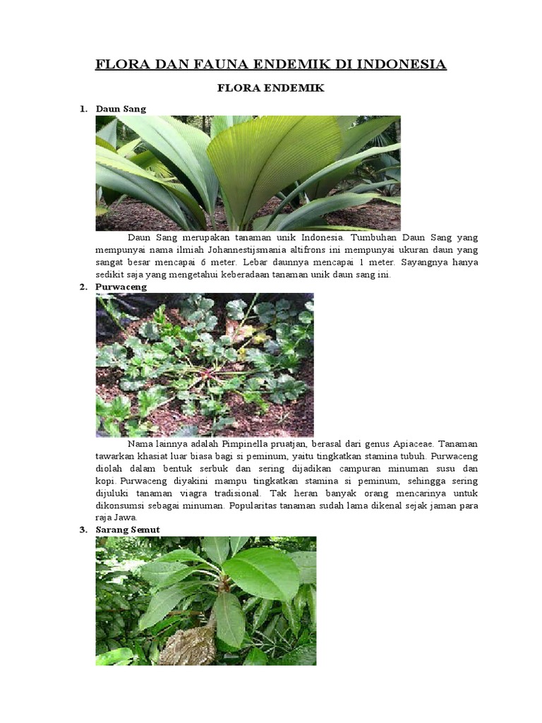 Flora Dan Fauna Endemik Di Indonesia | PDF