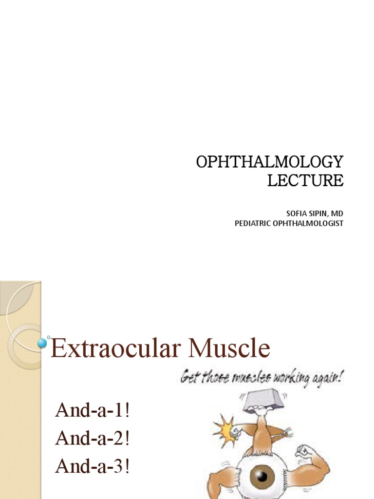 Pediatric Ophthalmologist Sofia Sipin's Lecture on Extraocular Muscles ...
