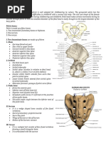 Goniometry Landmarks | PDF | Anatomical Terms Of Motion | Anatomical ...