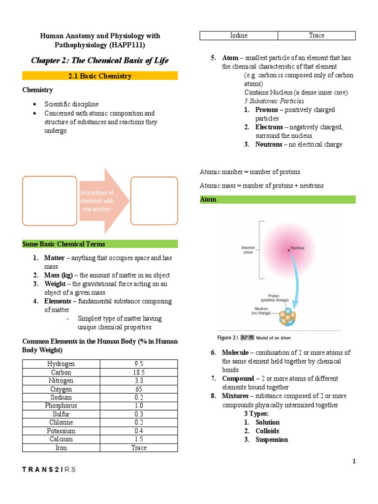 2 Chemical Basis - Anaphysio | PDF | Chemical Bond | Solution