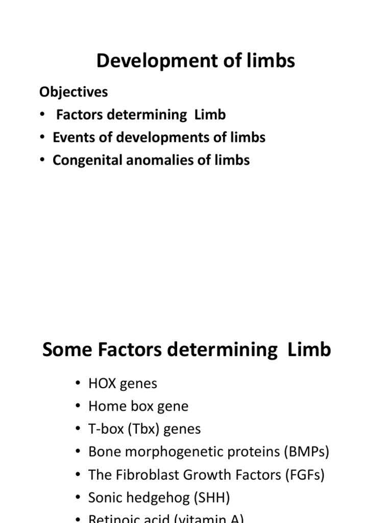 Development of Limbs | PDF | Developmental Biology | Anatomy