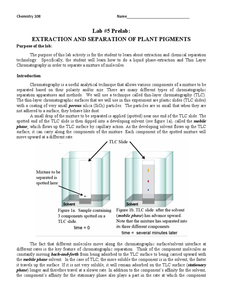 TLC Separation of Plant Pigments | PDF | Thin Layer Chromatography ...