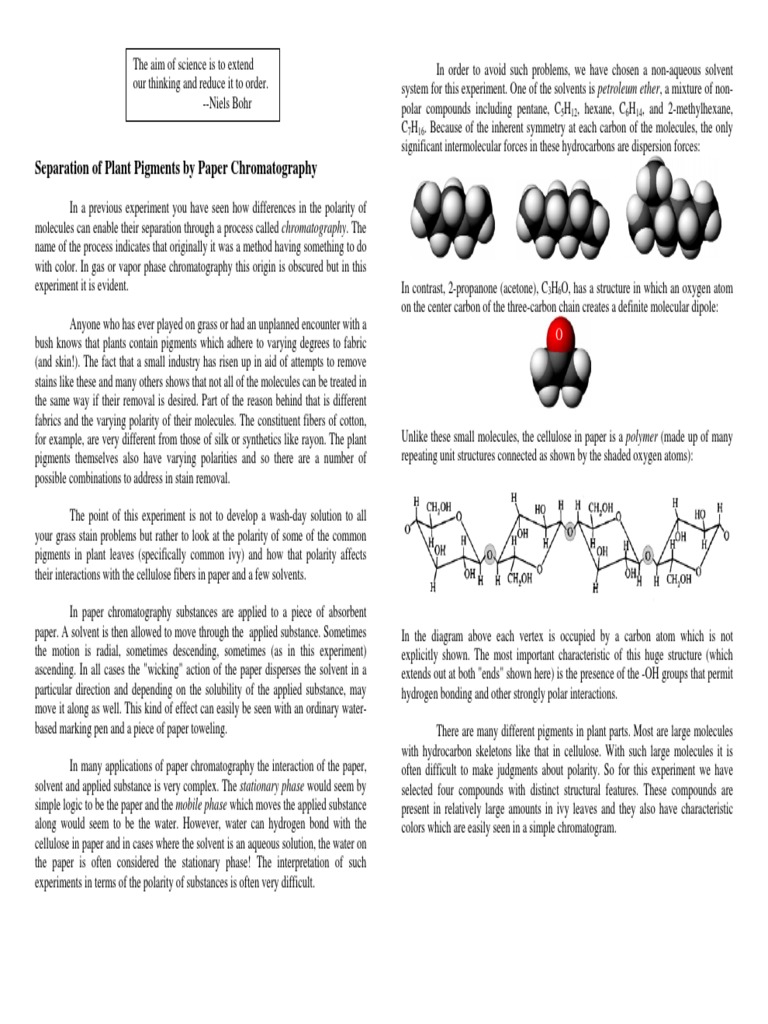 Plant Pigment Separation via Chromatography | PDF | Chromatography ...