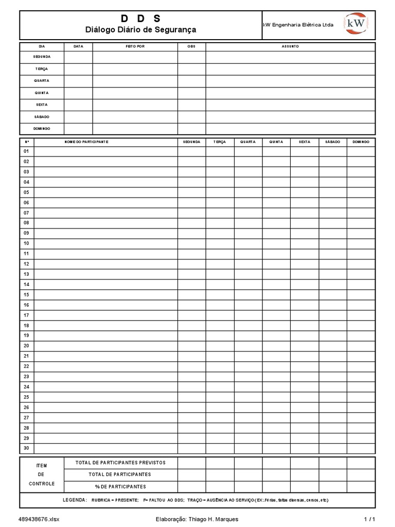 Relatorio de DDS | PDF