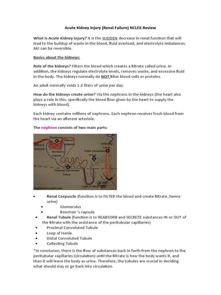 Acute Kidney Injury NCLEX Review | PDF | Wellness | Science & Mathematics