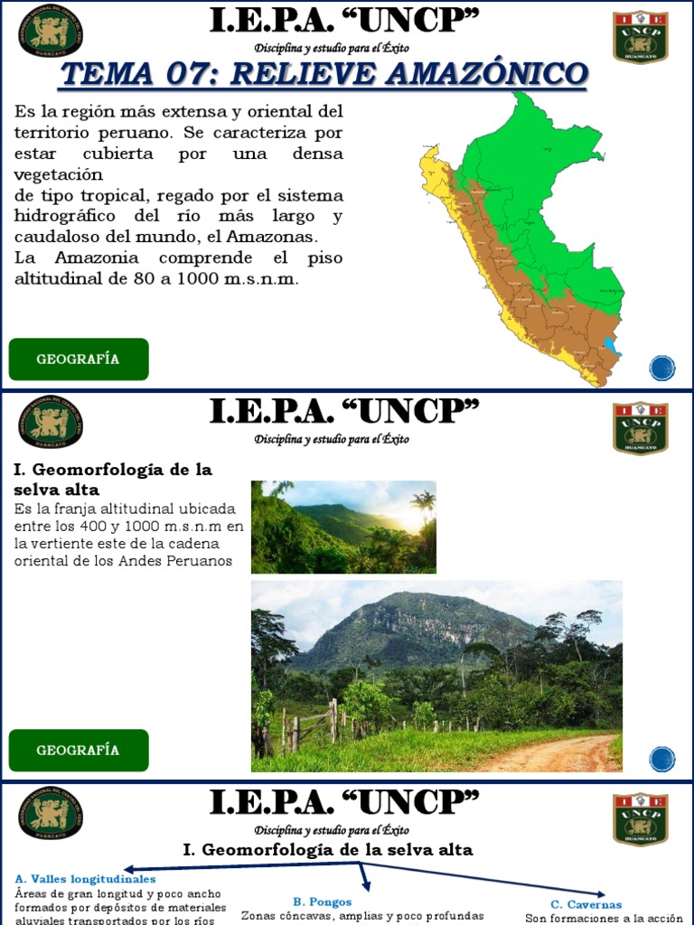 Relieve Amazónico | PDF | Selva amazónica | río Amazonas