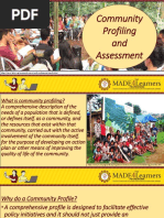 Community Profiling and Assessment | PDF | Needs Assessment | Community